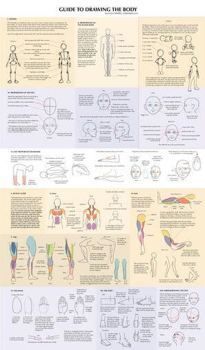 Big Guide to Drawing the Body by ^Cedarseed on deviantART -- Jerz's ...