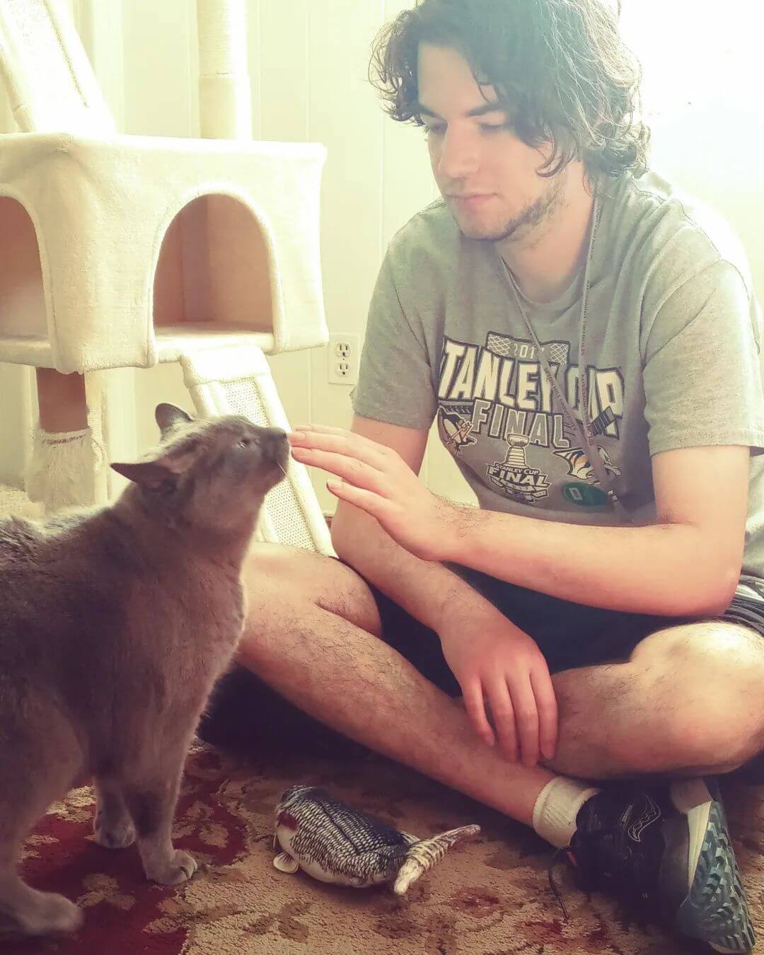 Cat-sitting. Hello, Blue. - Jerz's Literacy Weblog (est. 1999)