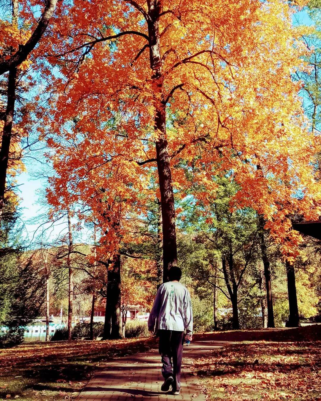 Enjoying a peaceful fall moment while it’s possible. Taking these ...